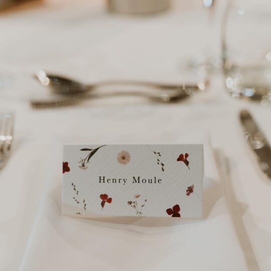 Meet the paper: Tintoretto Gesso | Printed.com Blog