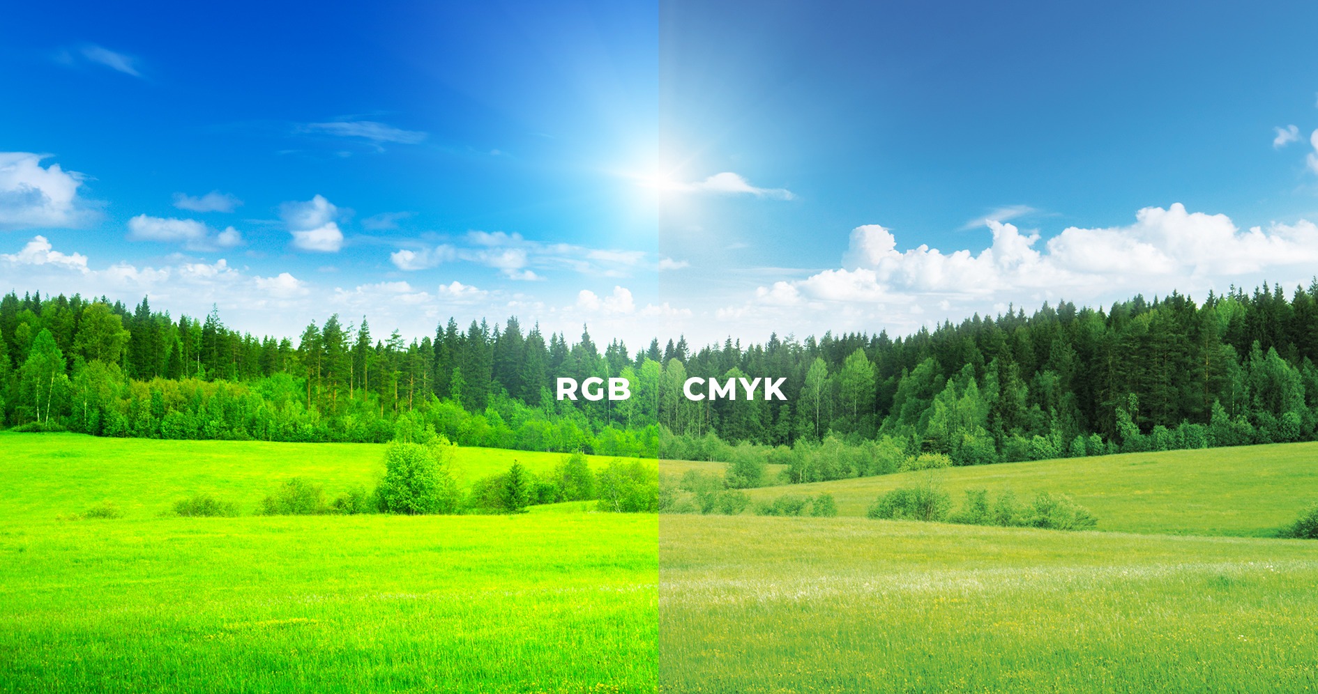 RGB vs CMYK: What is the difference? | Printed.com Blog