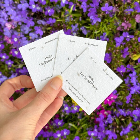 Meet the Paper: Seed Paper | Printed.com Blog