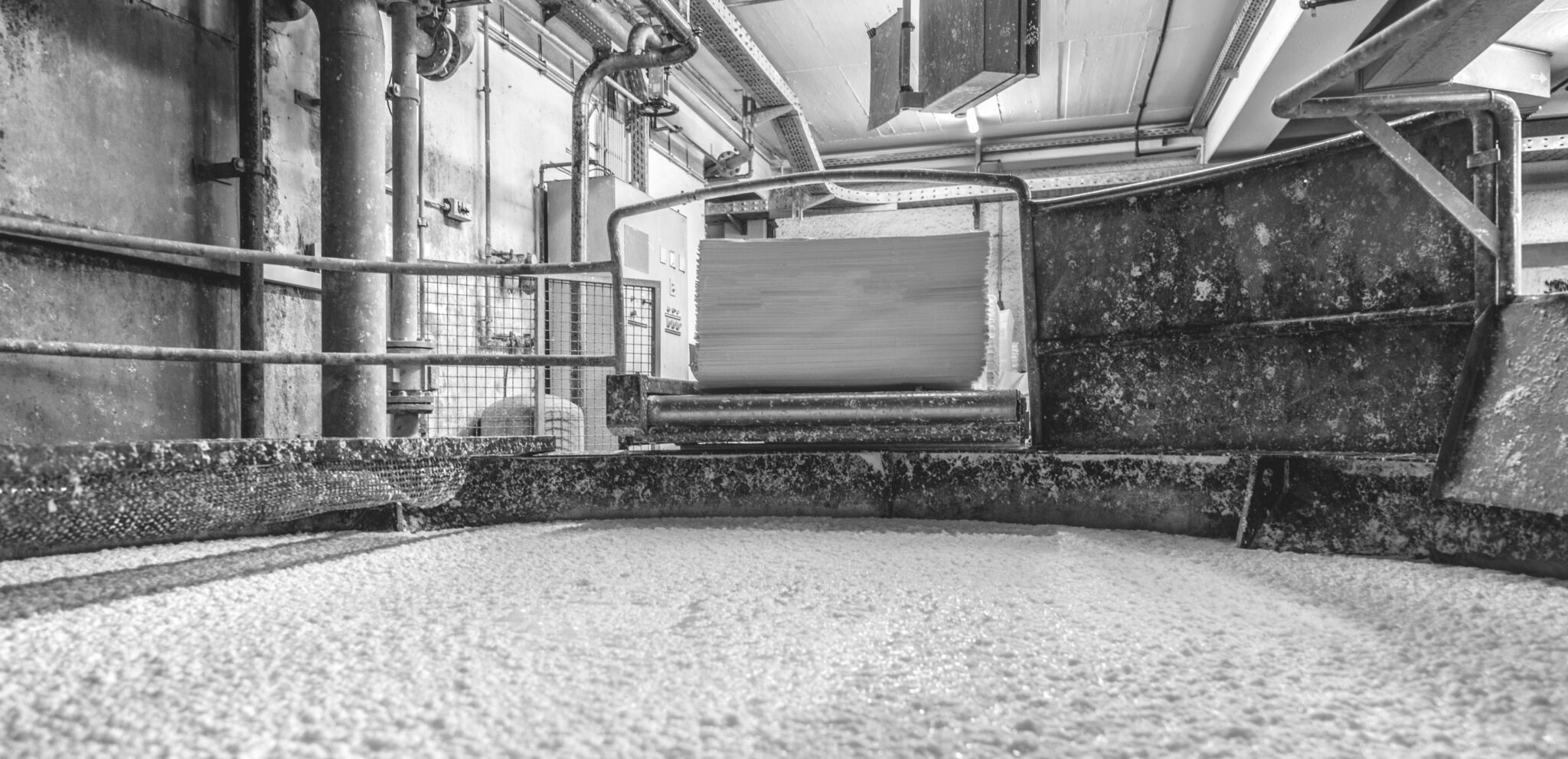 Cotton Paper: The Eco Friendly Paper Choice | Printed.com