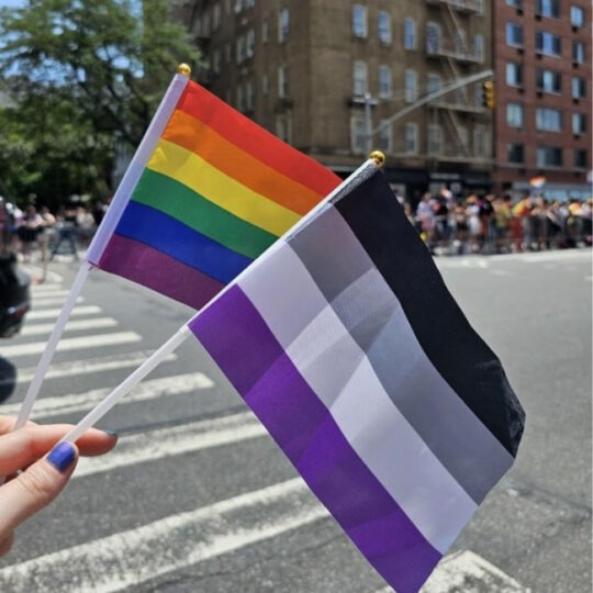 Pride Flags Explained and What Pride Colours Mean | Printed.com