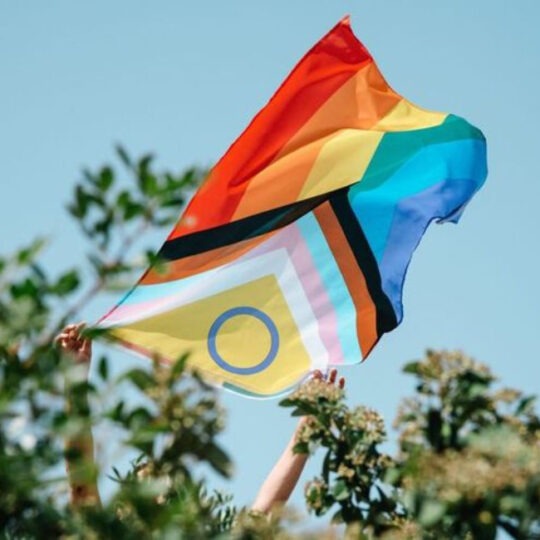 Pride Flags Explained and What Pride Colours Mean | Printed.com