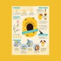 Your Complete Guide to Academic Posters | Printed.com
